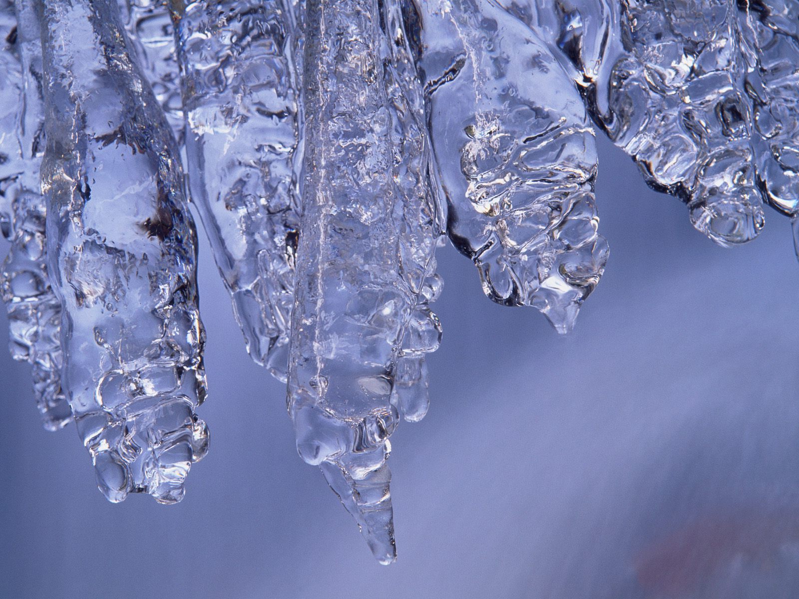 Mooie Hd Wallpaper Met