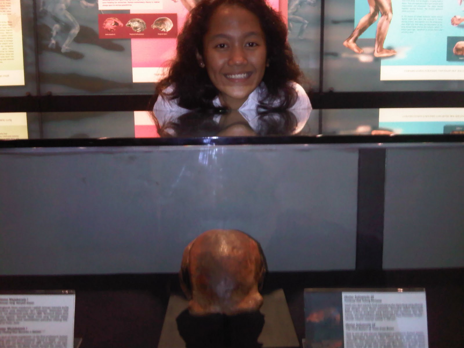 Labsky's Finest History: National Museum's Collections