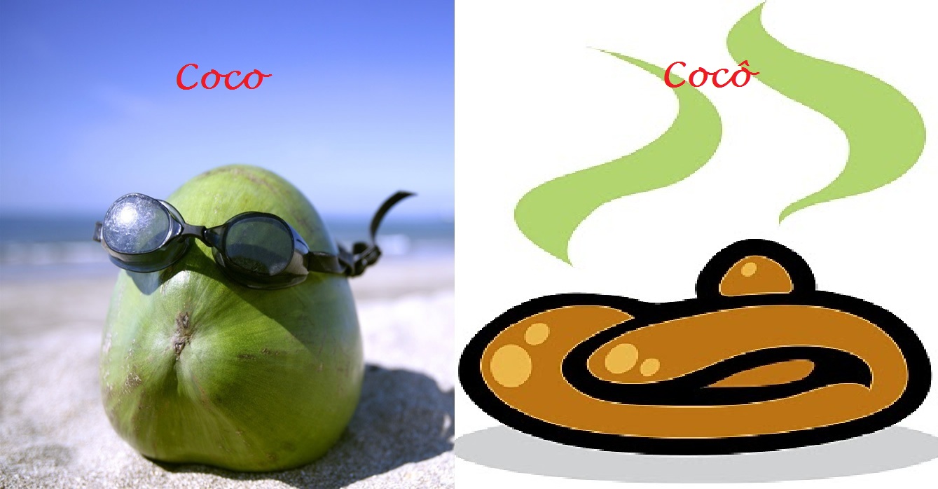 Salvador Concursos: Coco, côco ou cocô?