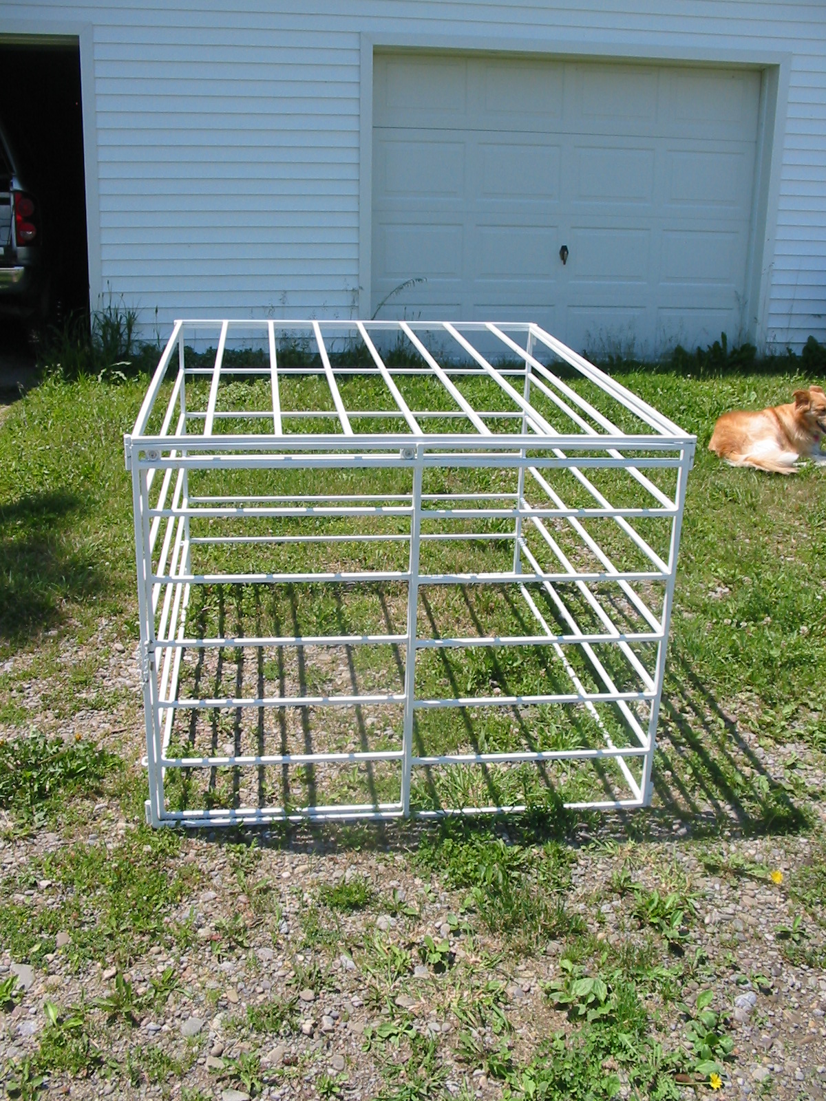 Knee Deep in Sheep: Have Crate, Will Travel