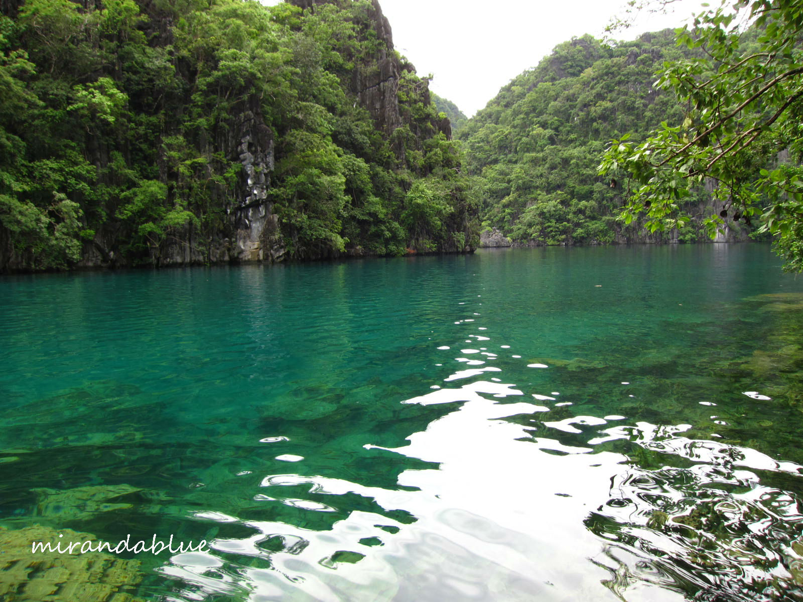 Miranda: Kayangan Lake: A journey to paradise