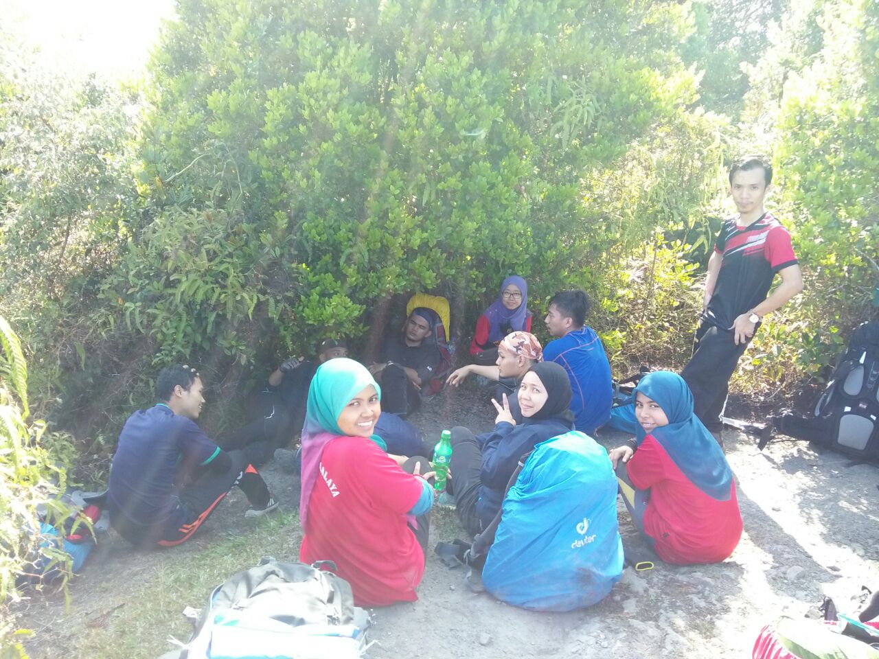 Hiking Log : Trans Tikus Makmal (Pine tree - Twin Peak - Semangkuk ...