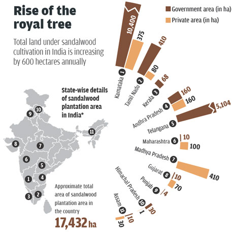 Sandal Wood Plantation: May 2016