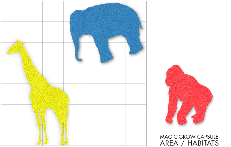 E is for Explore!: Magic Grow Capsule: Math / Science