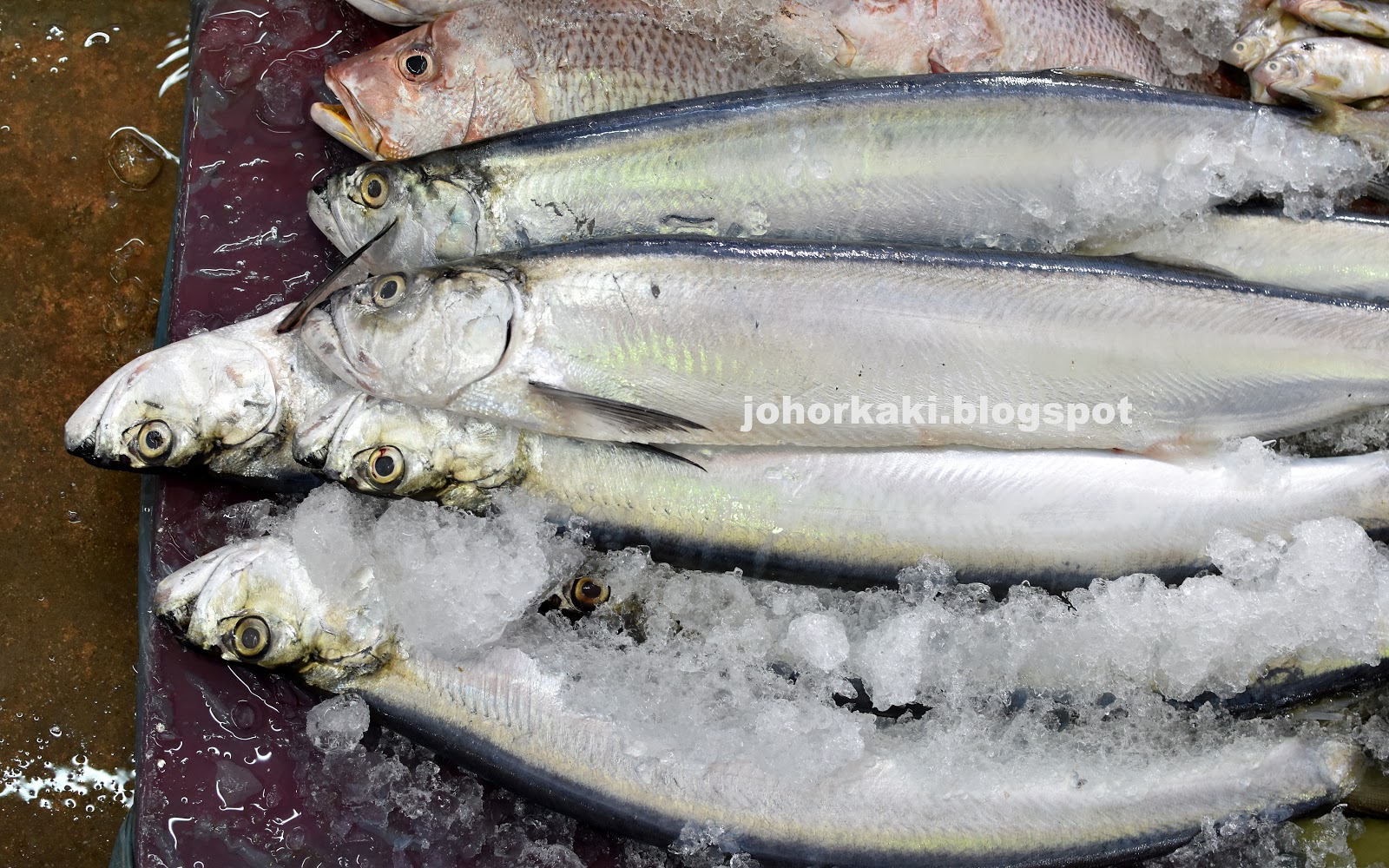 JB Local's Favourite Lai Kee Fish Ball Noodles in Tun Aminah Johor ...
