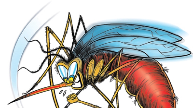 FIGHT AGAINST DENGUE: Health officers find problems in controlling dengue