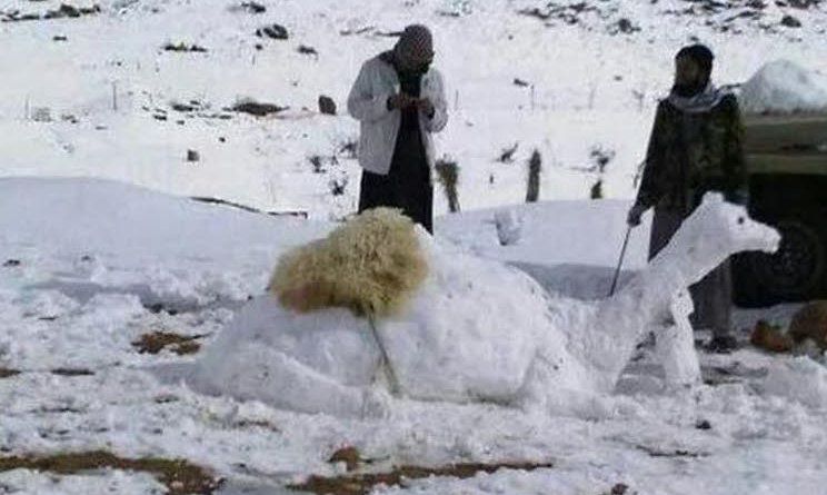 THE VIEW FROM FEZ: December 2017