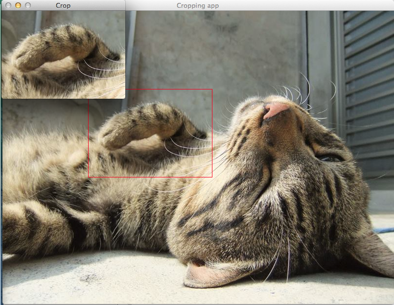 I touchs: OpenCV: Cropping a ROI(Regions of Interest) out of an Image