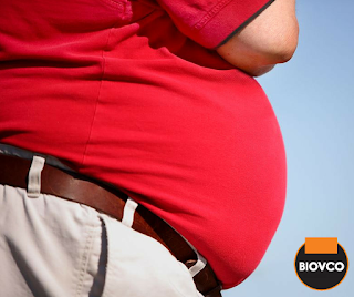 7 Cara Kempiskan Perut Buncit – Info Kesihatan