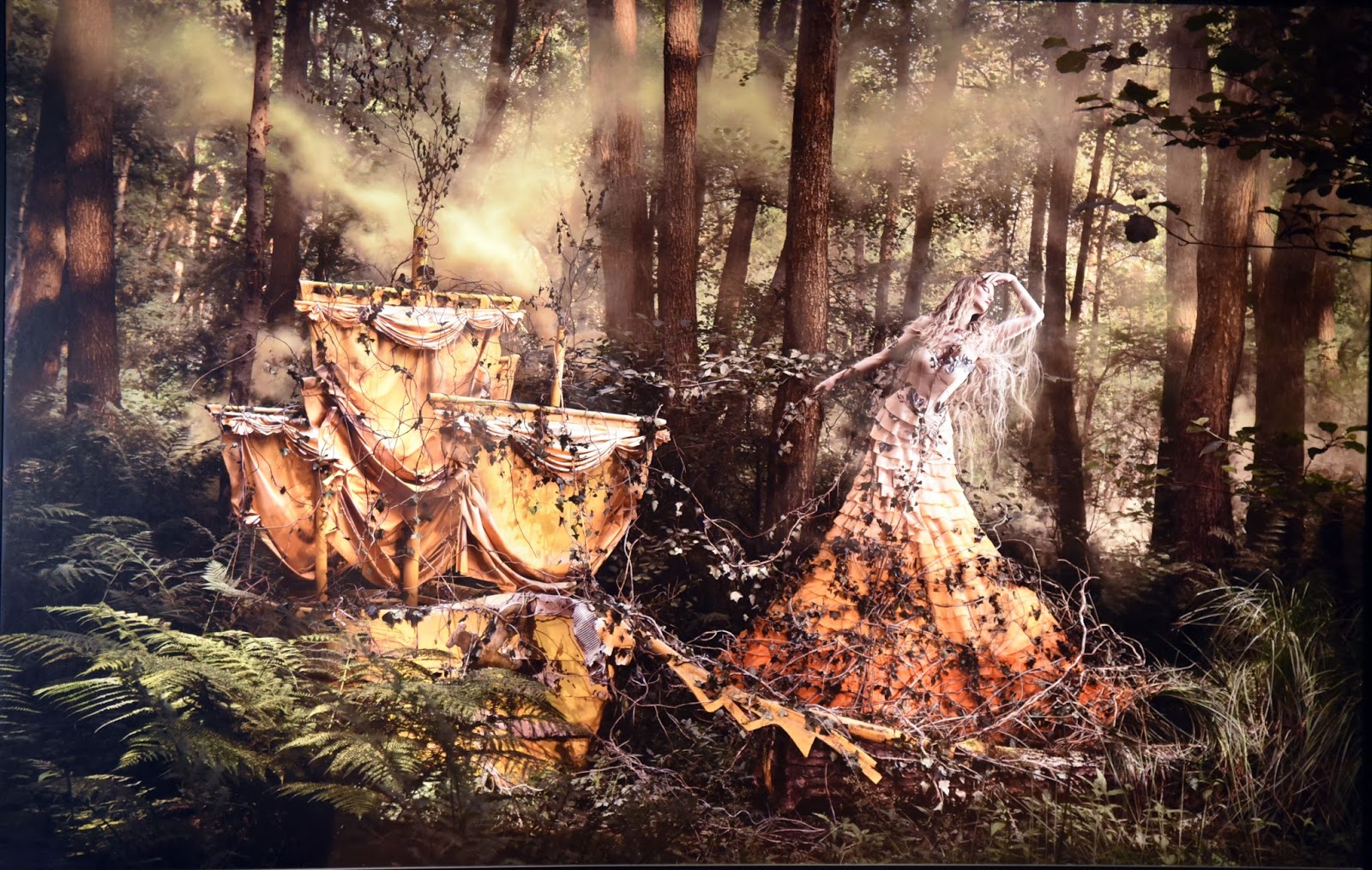 Calamitous Botanicus : Merry Monday - Kirsty Mitchell's Wonderland