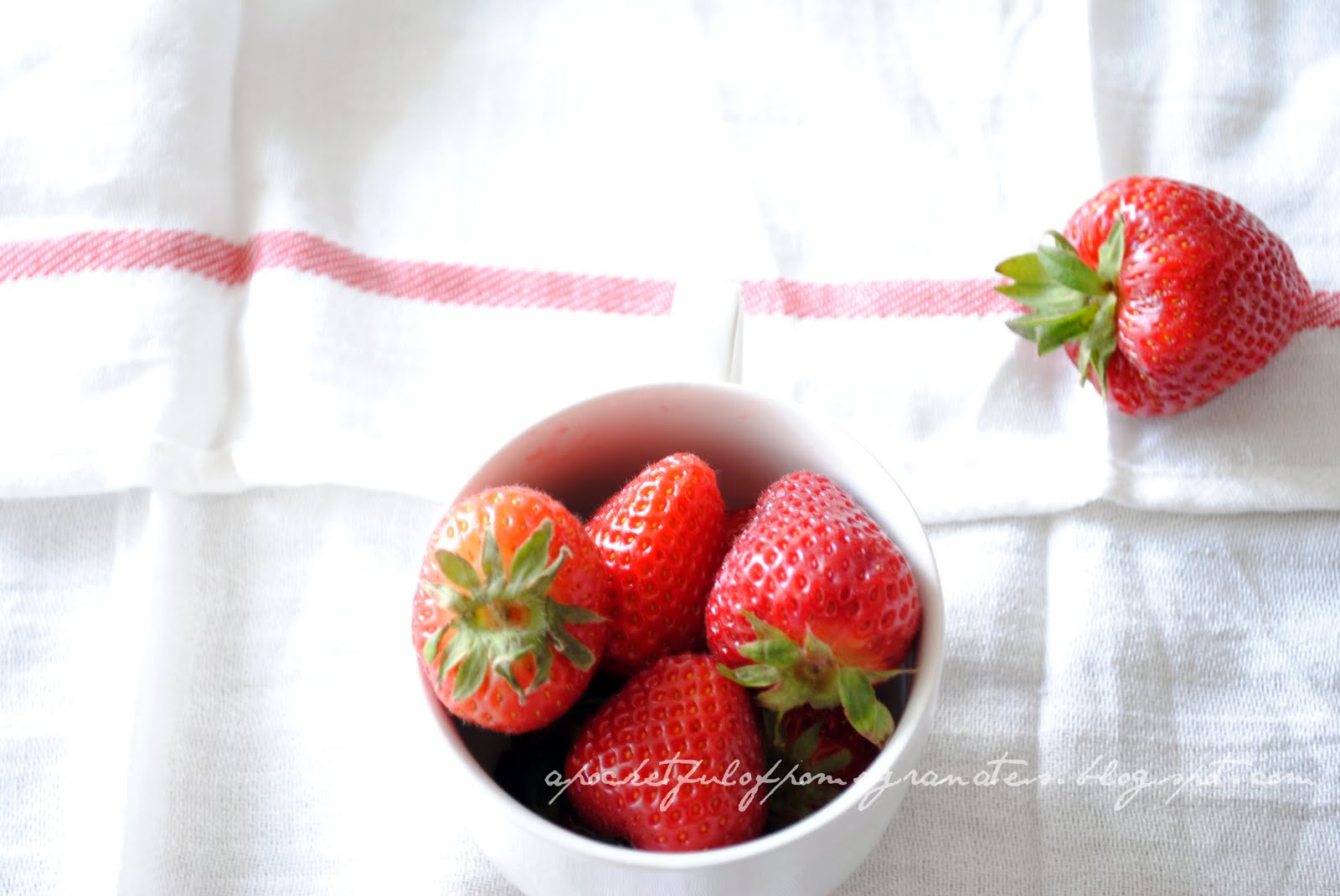 a pocketful of pomegranates