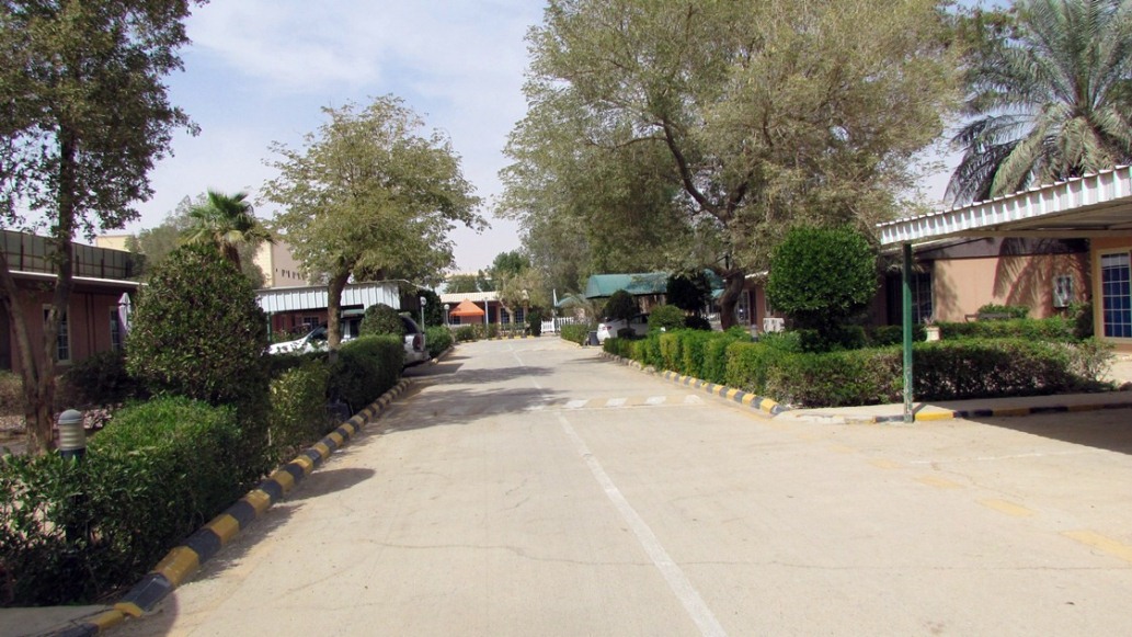 Birding for a Lark: Return to Al Waha compound