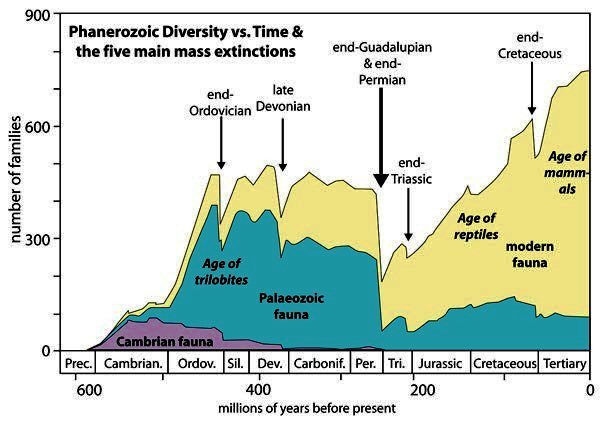 Marine life quickly recovered after global mass extinction - Geology In