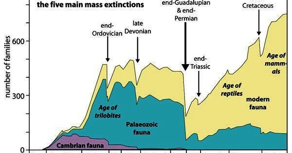 Marine life quickly recovered after global mass extinction - Geology In