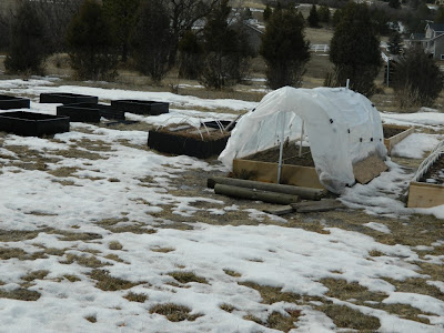 Meanwhile, back at the ranch...: How Does Your Garden Grow?