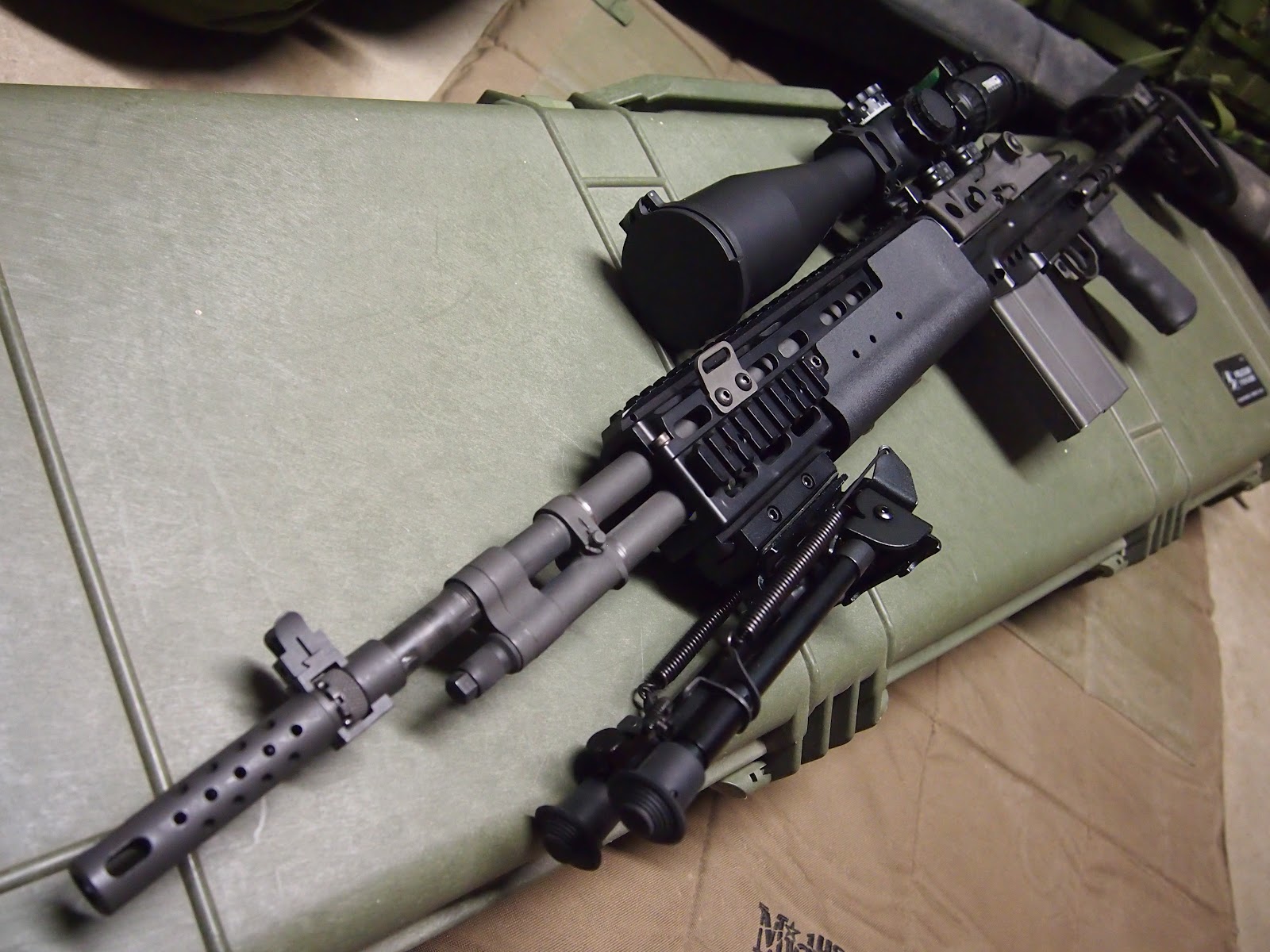 Mister Donut's Firearms Blog: Norinco M14/Sage EBR Chassis