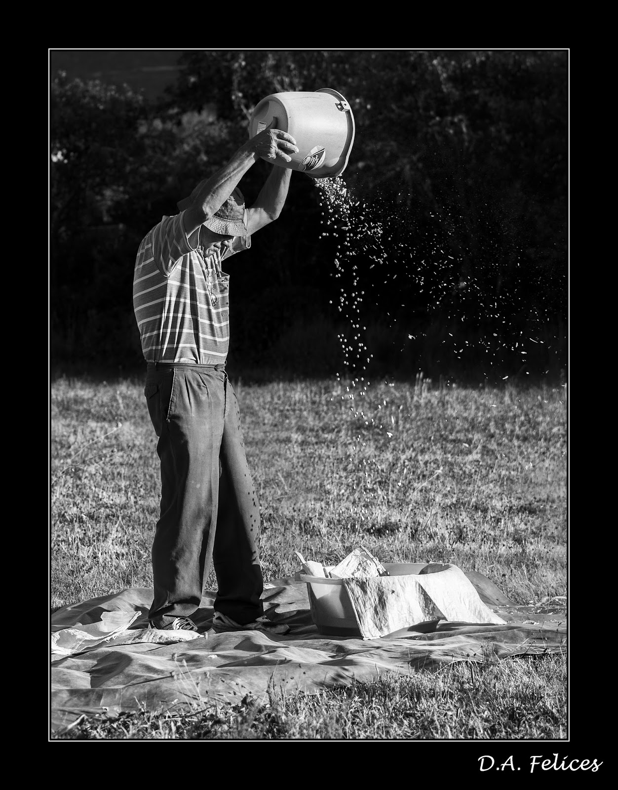 Venteando los Garbanzos.