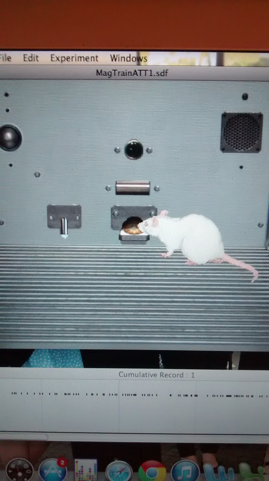 Jessica's Psychology of Learning blog: Training Sniffy