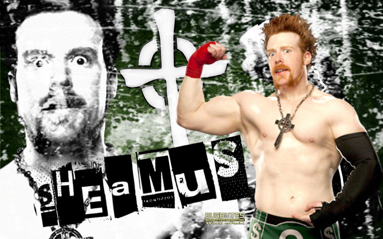 WWE Sheamus Heavyweight Champion 2012 | It's All About Wallpapers