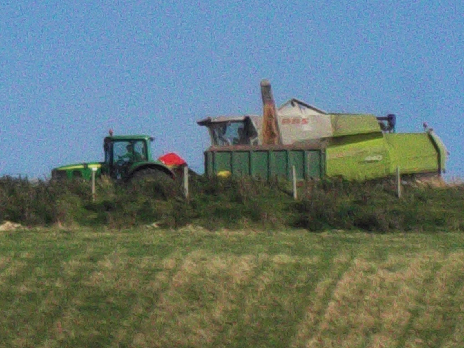 LORNE HILL FARM: Explaining Horrible Harvest