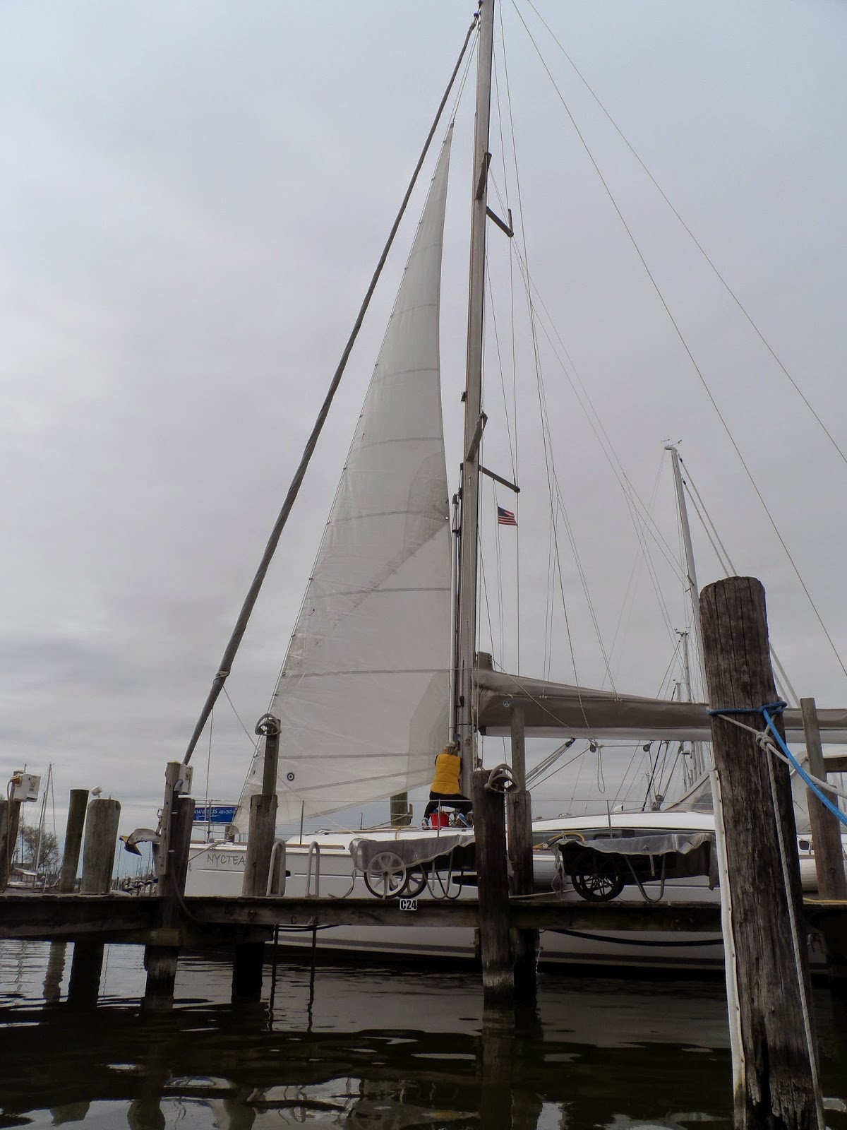 Sail Delmarva: Reefing a Blade Jib--A New Prpose for the PDQ Self-tacker?
