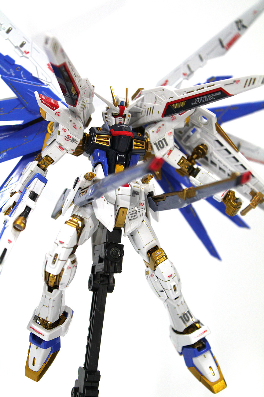 Custom Build: RG 1/144 Freedom Gundam "Gold Frame"