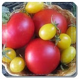 Fakta dan Manfaat Tomat yang Perlu Kamu Ketahui - KEDAI MOH