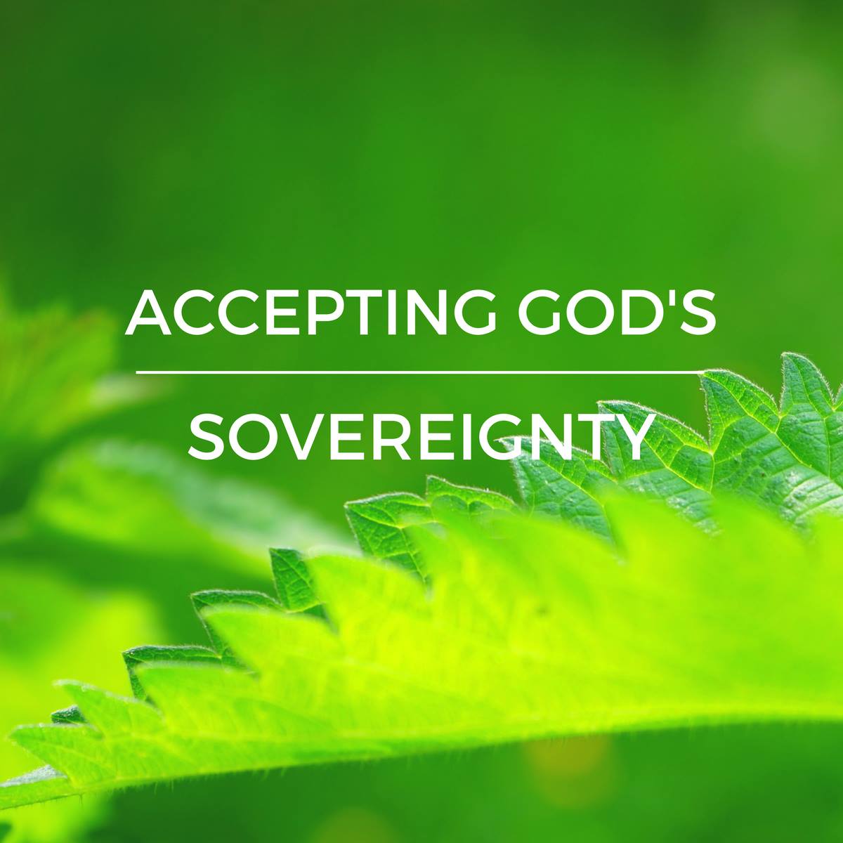 Almighty God is My Shepherd: Bible