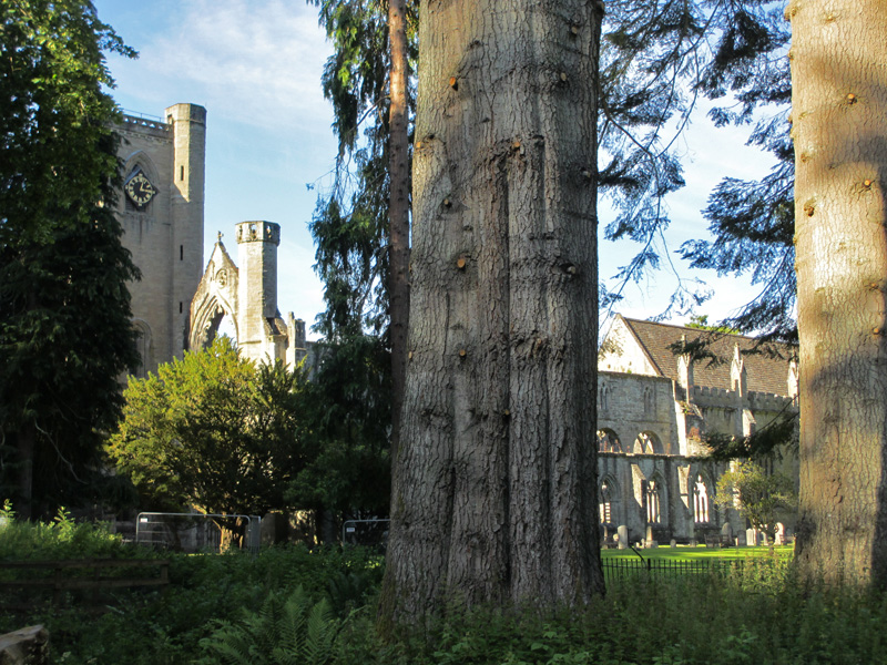 Love of Scotland: Review: Highland Perthshire, and Birnam Hill