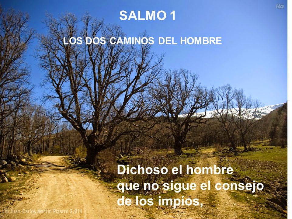 La Pesadilla del impío y la Esperanza de los piadosos