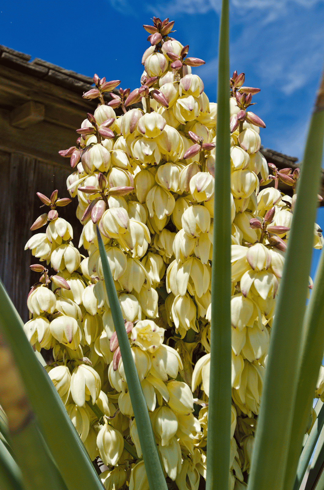 Journeys With Judy: Seminole State Park and Langtry TX