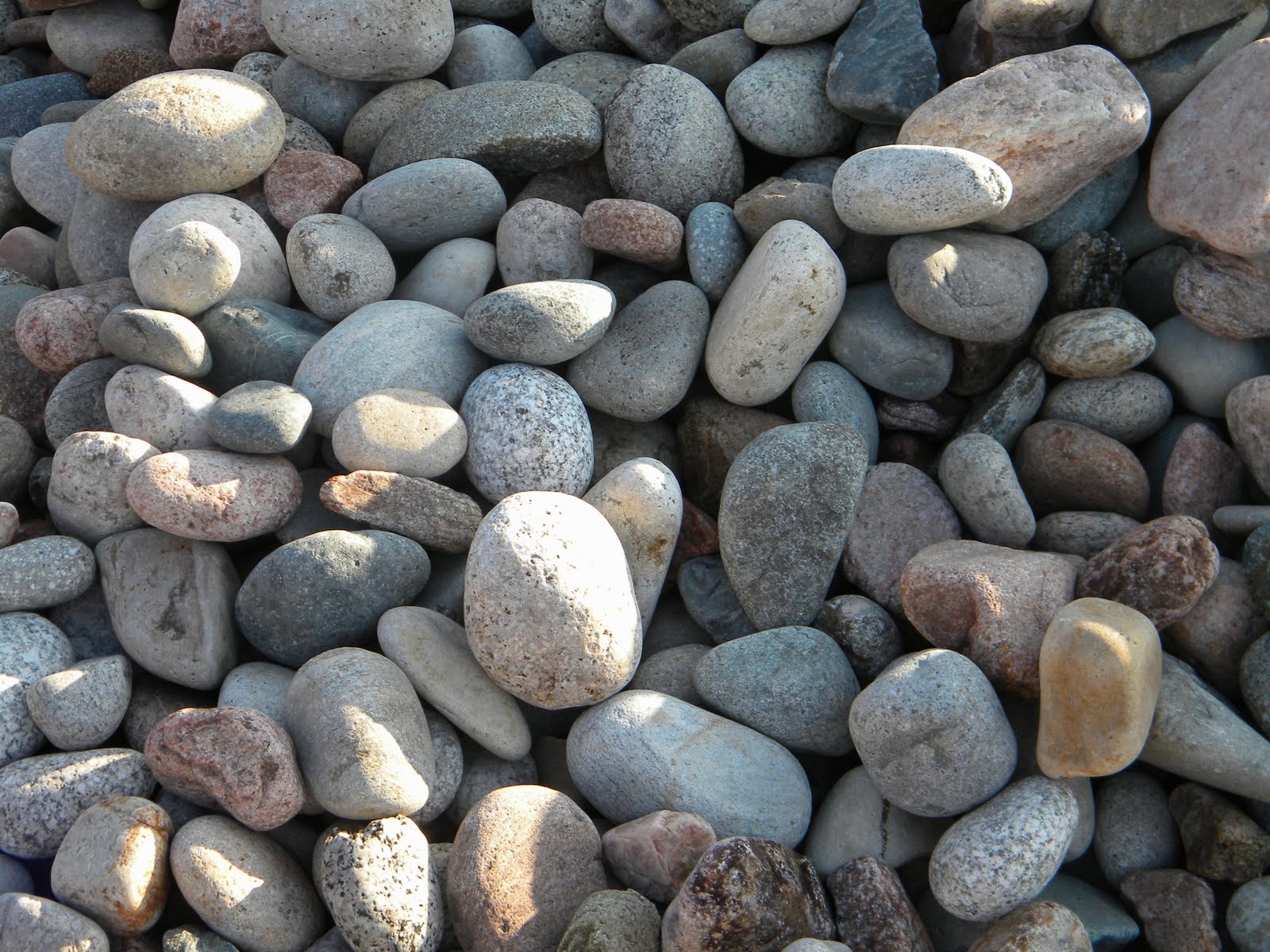 SUST 5304 Summer II - JRyan: Living Earth Technology Company - Dallas, TX