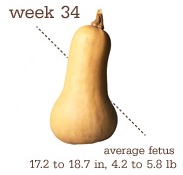 Breathe Gently: The Weekly Run-Down: 34