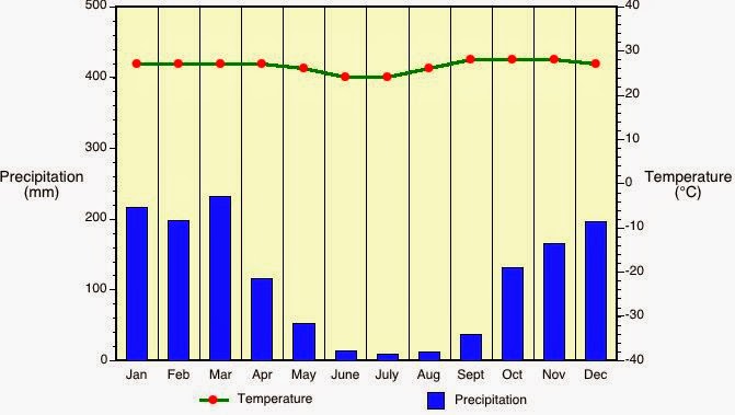 e b e r b a c h b l o g: The Cerrado: Savanna in Brazil