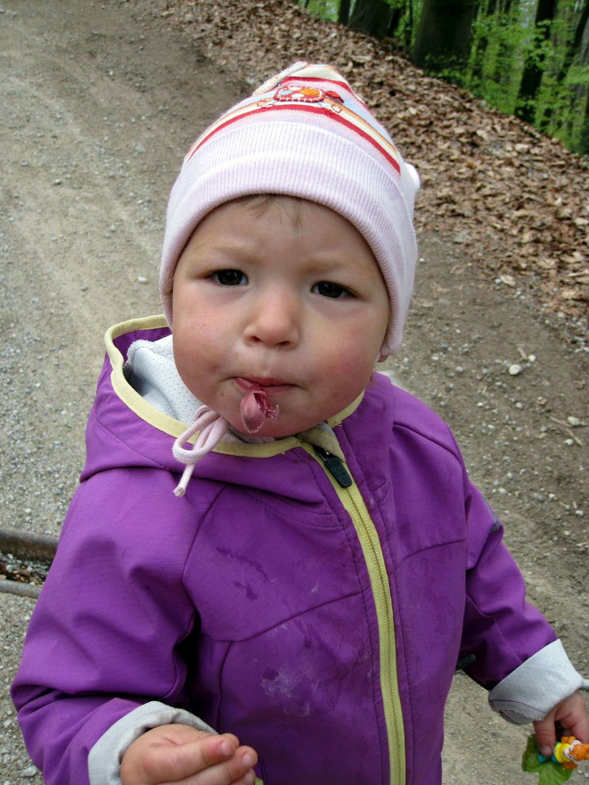 razgRAJAMO OKOLI: Smlednik, Stari grad