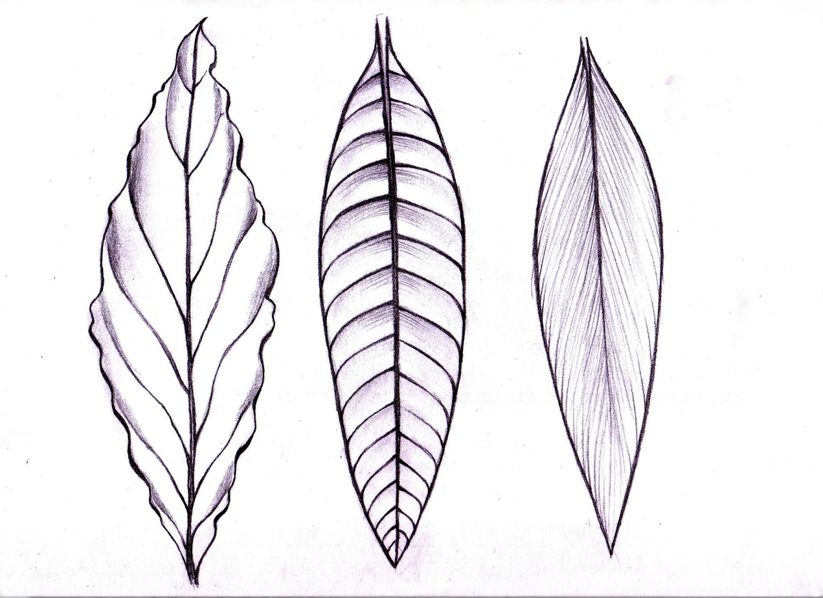 RIDHO ART: BELAJAR MENGGAMBAR