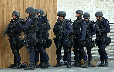 Sgt Al's Blog: DEAR SGT. AL: THE DIFFERENCE BETWEEN NYPD ESU AND LAPD SWAT?