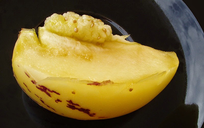 UN PARAÍSO EN CASA: CULTIVO DEL PEPINO DULCE