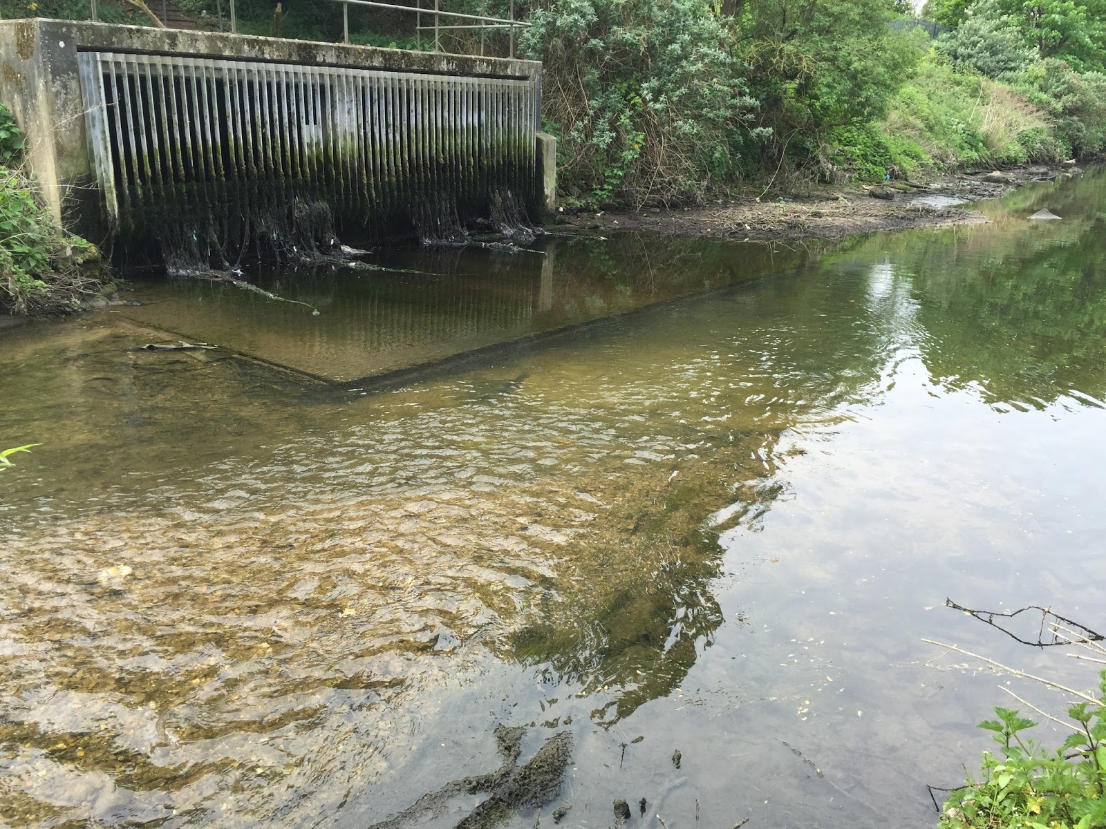 Hogsmill Sewage Works : dry outfall
