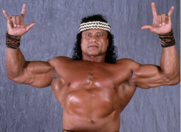 The Real Dwayne Allen.com: Rest in Peace Superfly JImmy Snuka