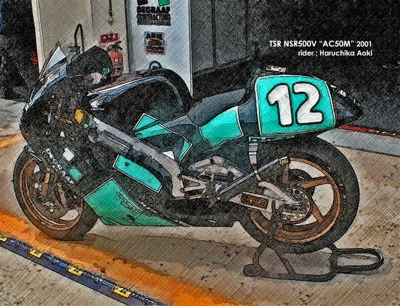 迷走録(-1378): TSR NSR500V AC50M