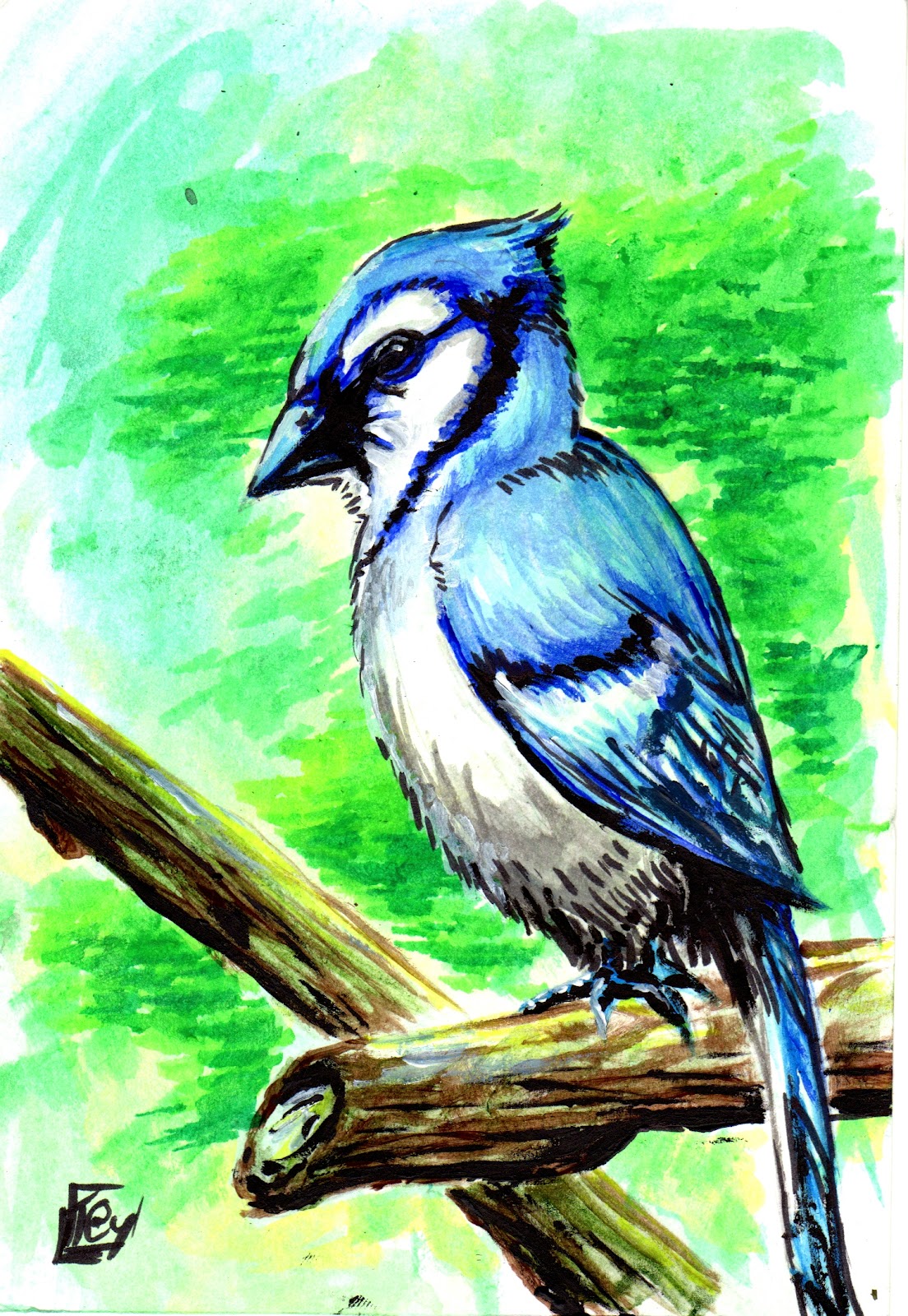 Taylor's Sweet Little Art and Nerd Site: Art Piece of the day- A Blue Jay!