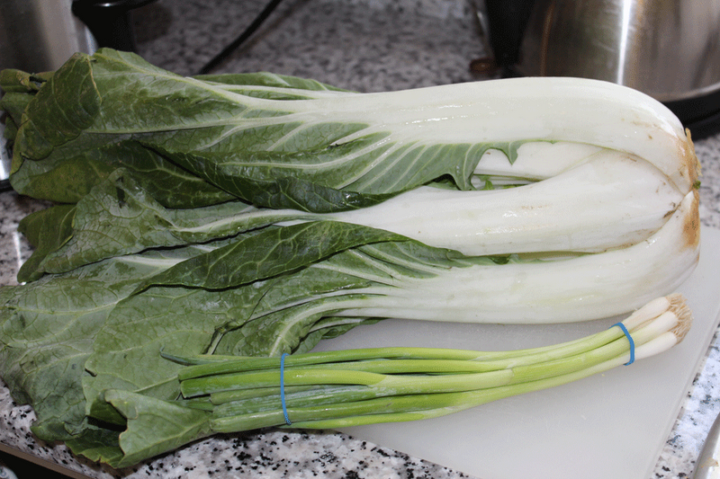 Women on a Mission: Mom Edition: BOK CHOY SALAD