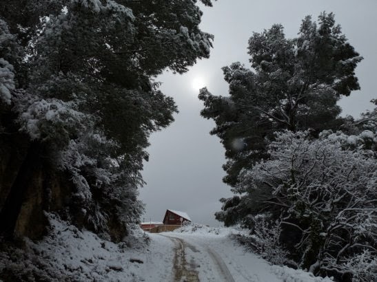 IBLAMA BLOG : NEVADA 040214