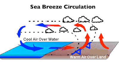 NephiCode: Understanding Coastal Breezes and Prevailing Winds