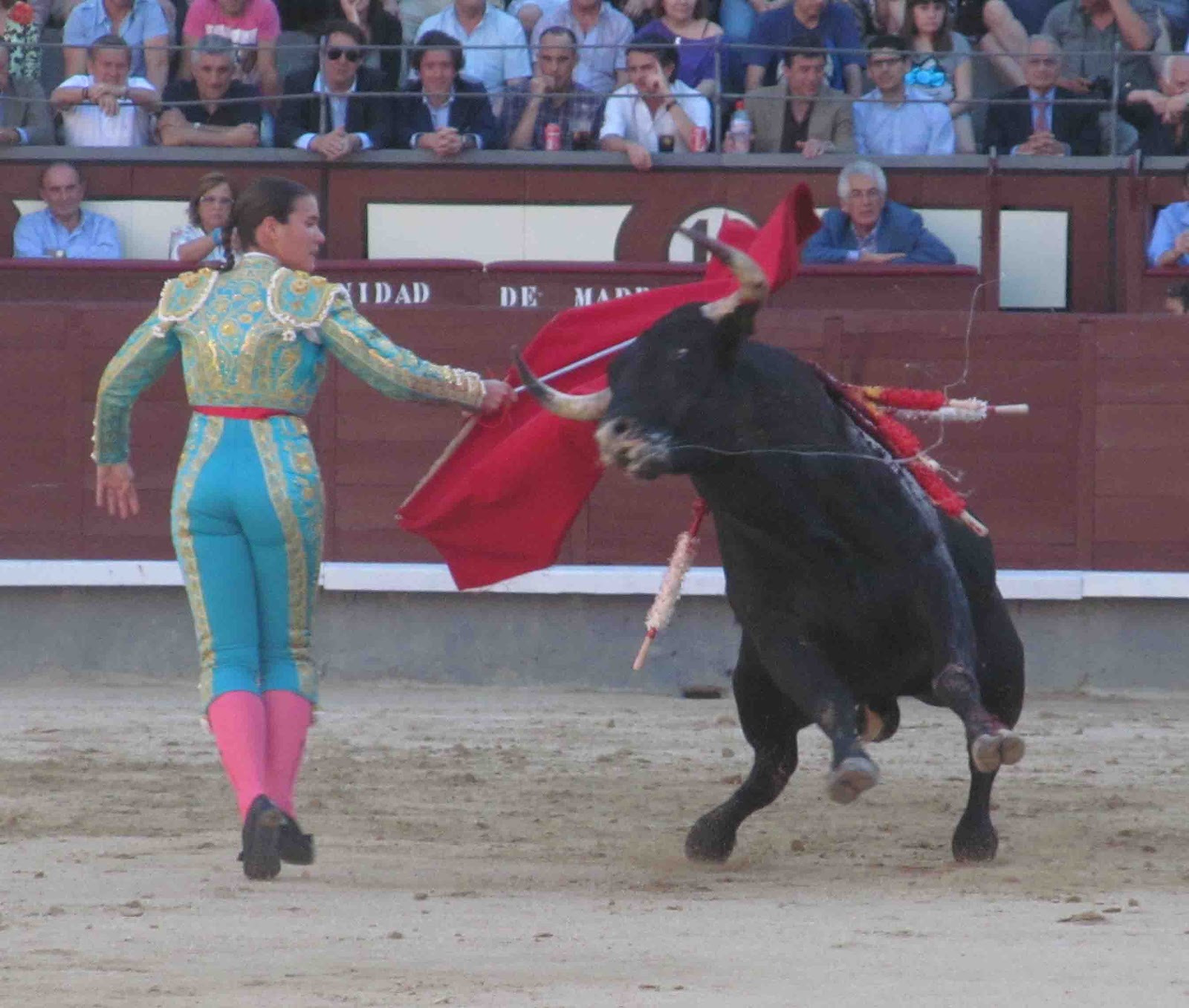 Com a cara, a coragem, a saudade e ...: ... a tourada