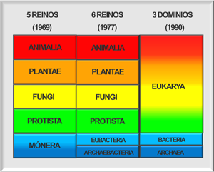 Ciência Viva: MODIFICAÇÕES ATUAIS - DOMÍNIOS
