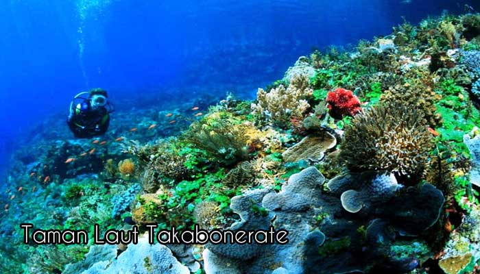 10 TAMAN LAUT TERINDAH DI INDONESIA | Reygian Wisata Indonesia
