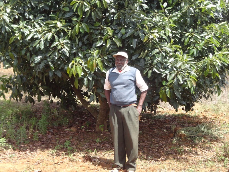 Laikipia Rural Voices (LRV): Resilience pays off as fruit farmer enjoys ...