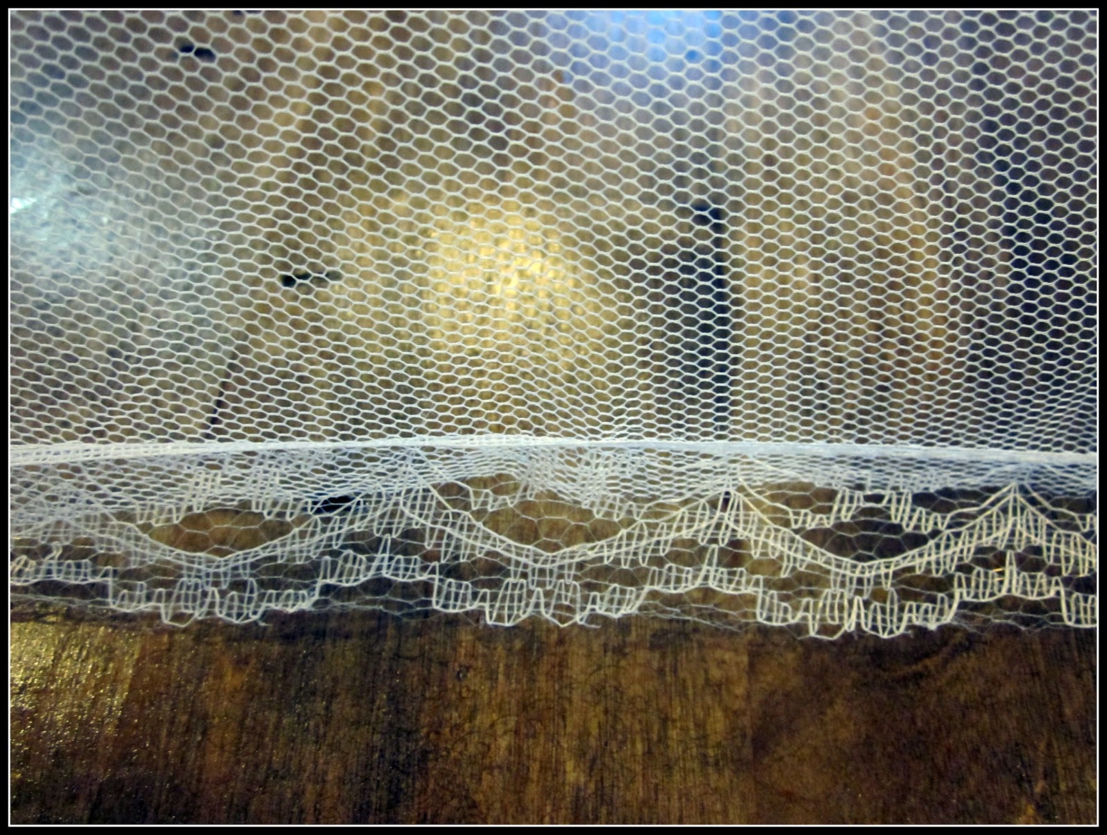 Keep the Bugs Off Your Food!